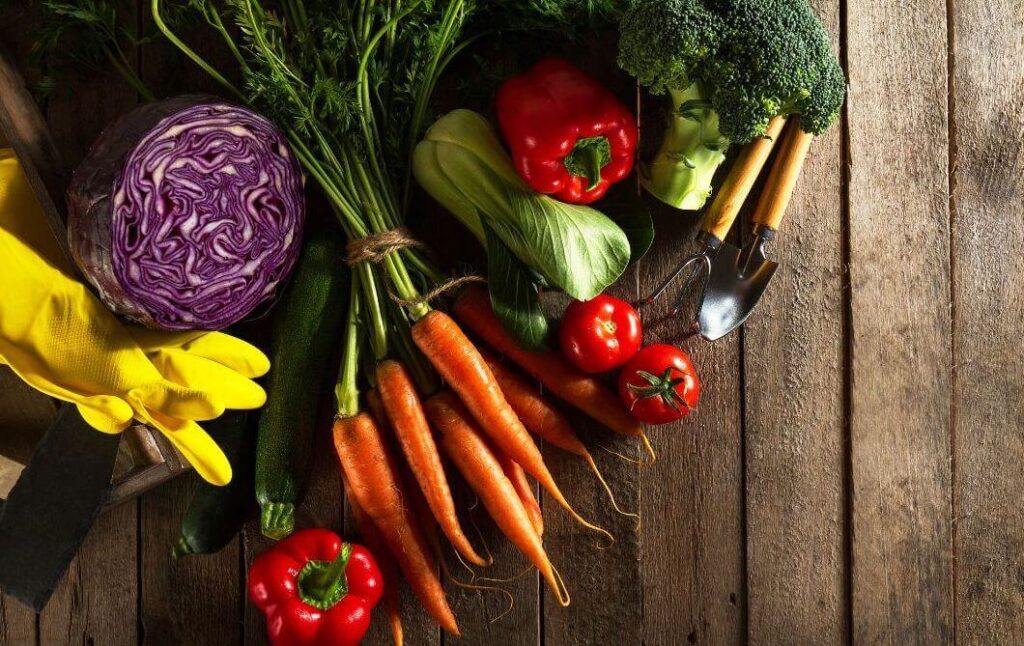 A List Of Foods To Avoid Whilst Taking Ozempic – Revolve Medicare